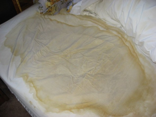 Forrest Grant – AB Discovery