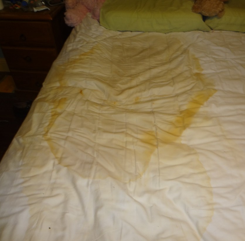 Forrest Grant – AB Discovery