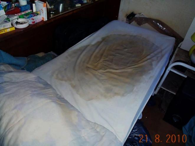 Forrest’s/Florence’s Wet Beds – AB Discovery