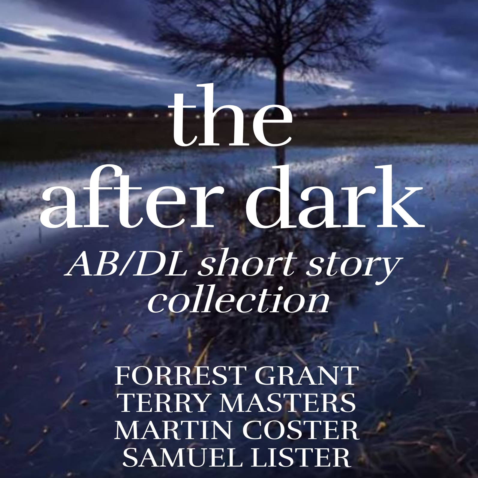 The ‘After Dark’ AB/DL Short Story Collection Vol 1 – AB Discovery