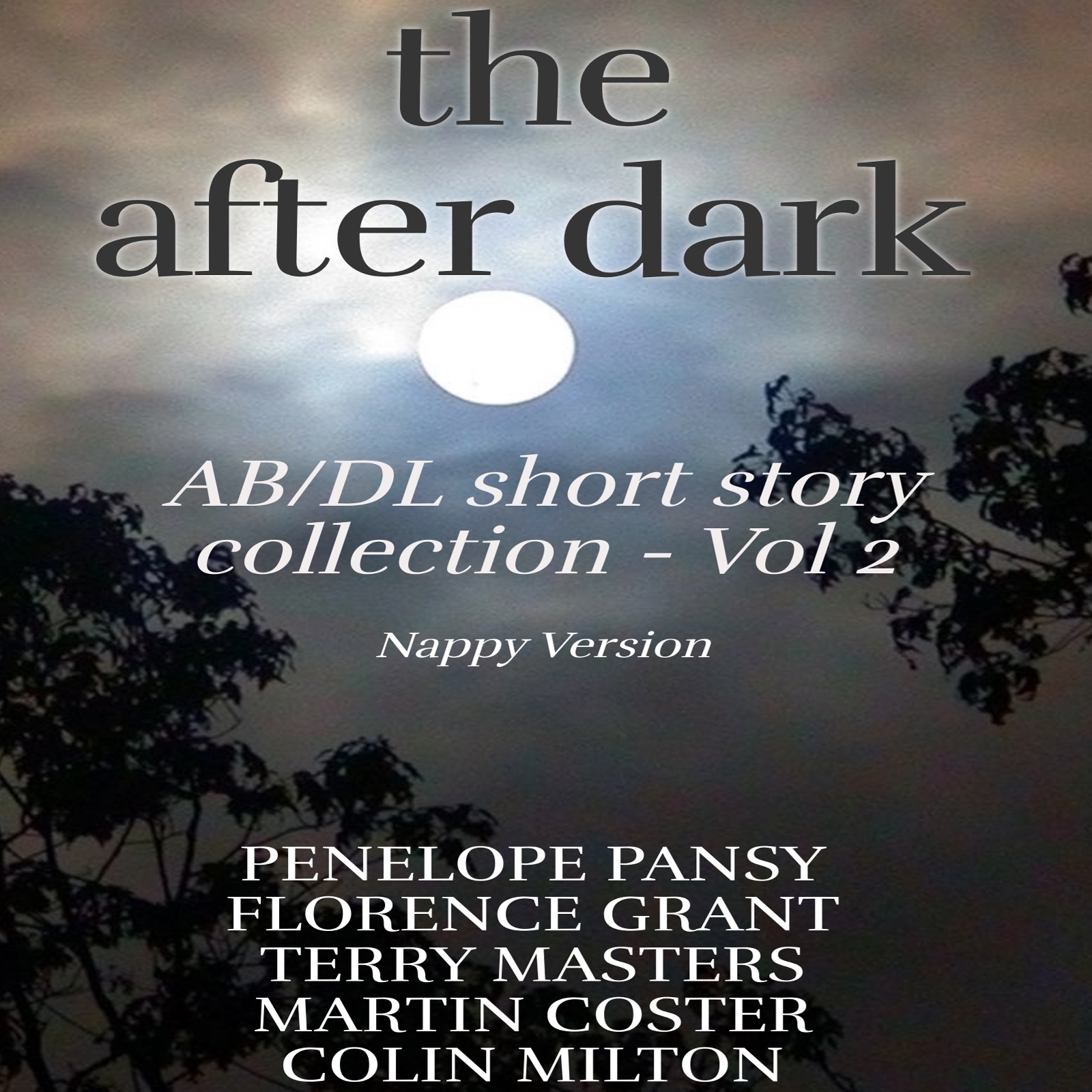 The After Dark AB/DL Short Story Collection Vol 2 – AB Discovery